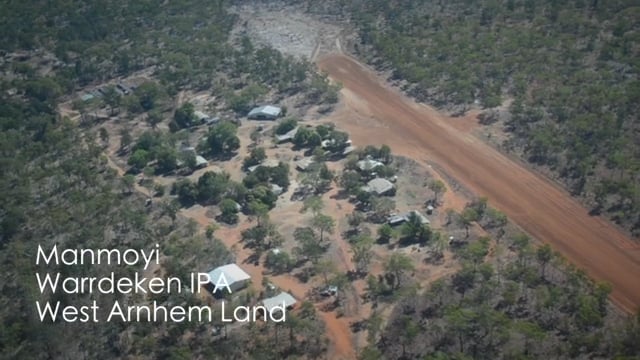 Bush Medicine in Manmoyi on Vimeo