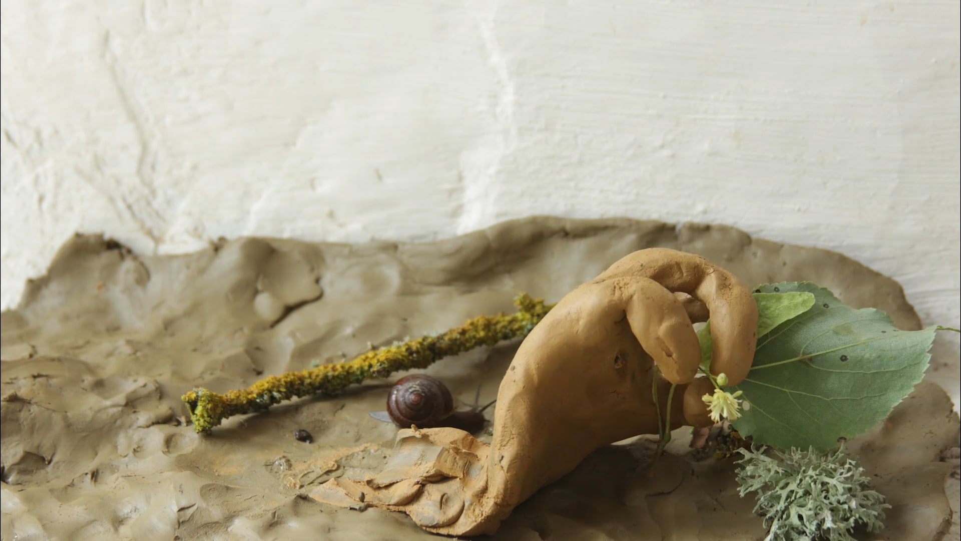 Sprout on Vimeo