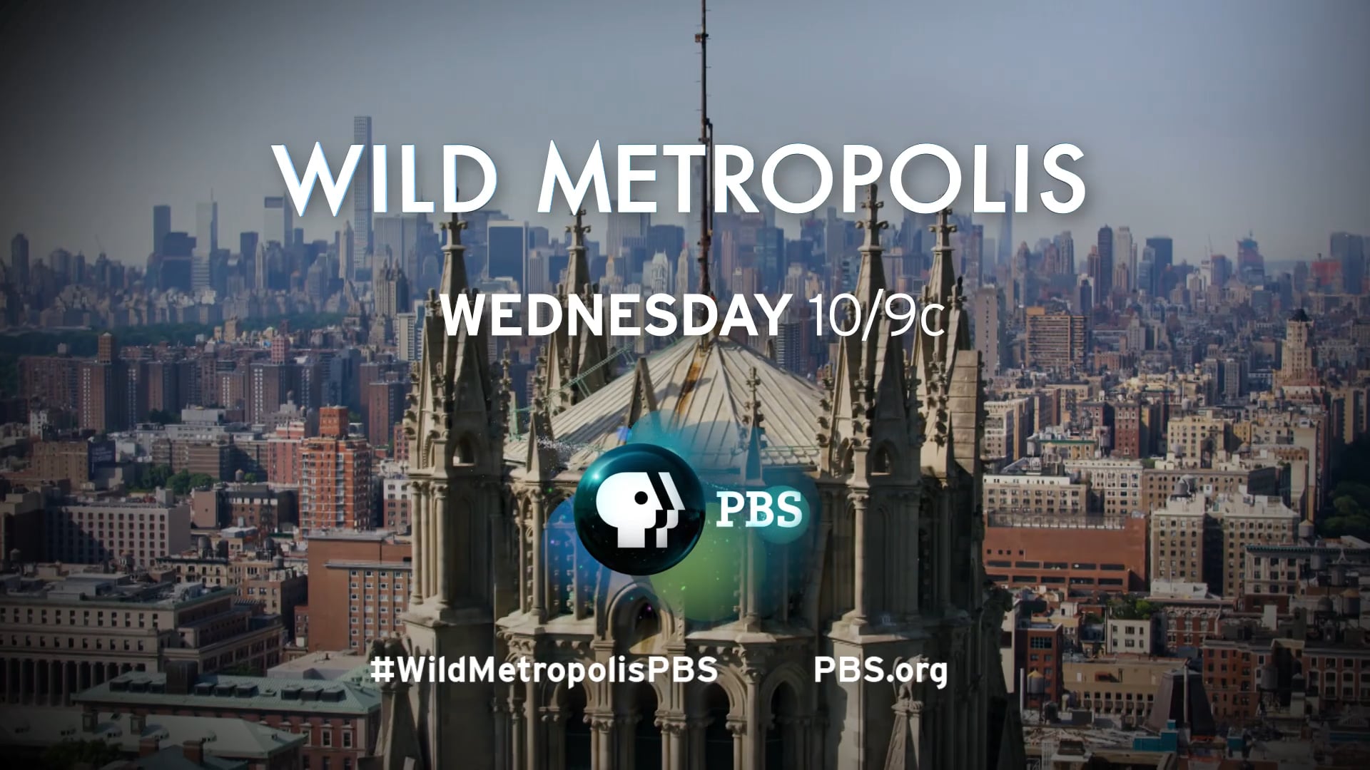 Wild Metropolis_Episode 1_Residents_Dated_30 on Vimeo