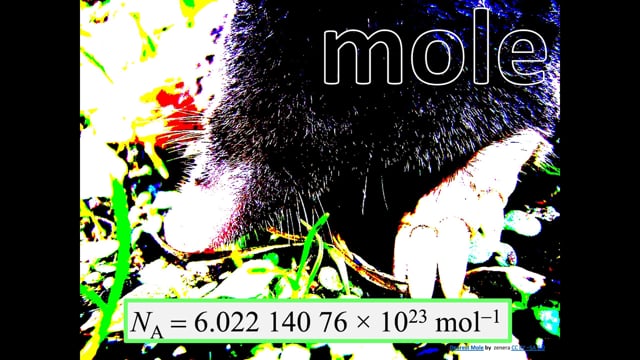 The mole — Science Learning Hub