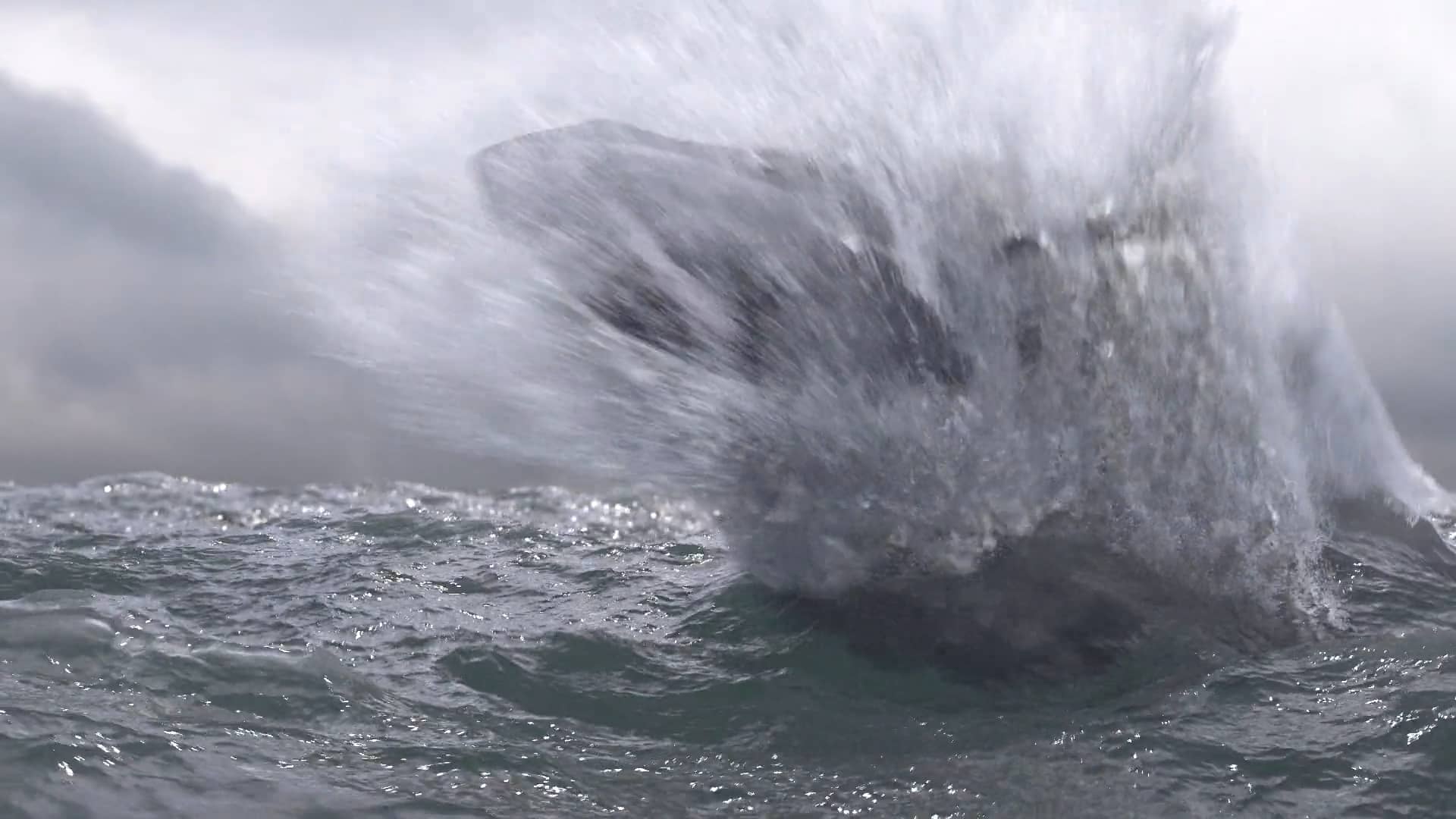 shark leaping VFX breakdown on Vimeo
