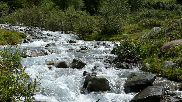 Creek Videos: Download 426+ Free 4K & HD Stock Footage Clips - Pixabay