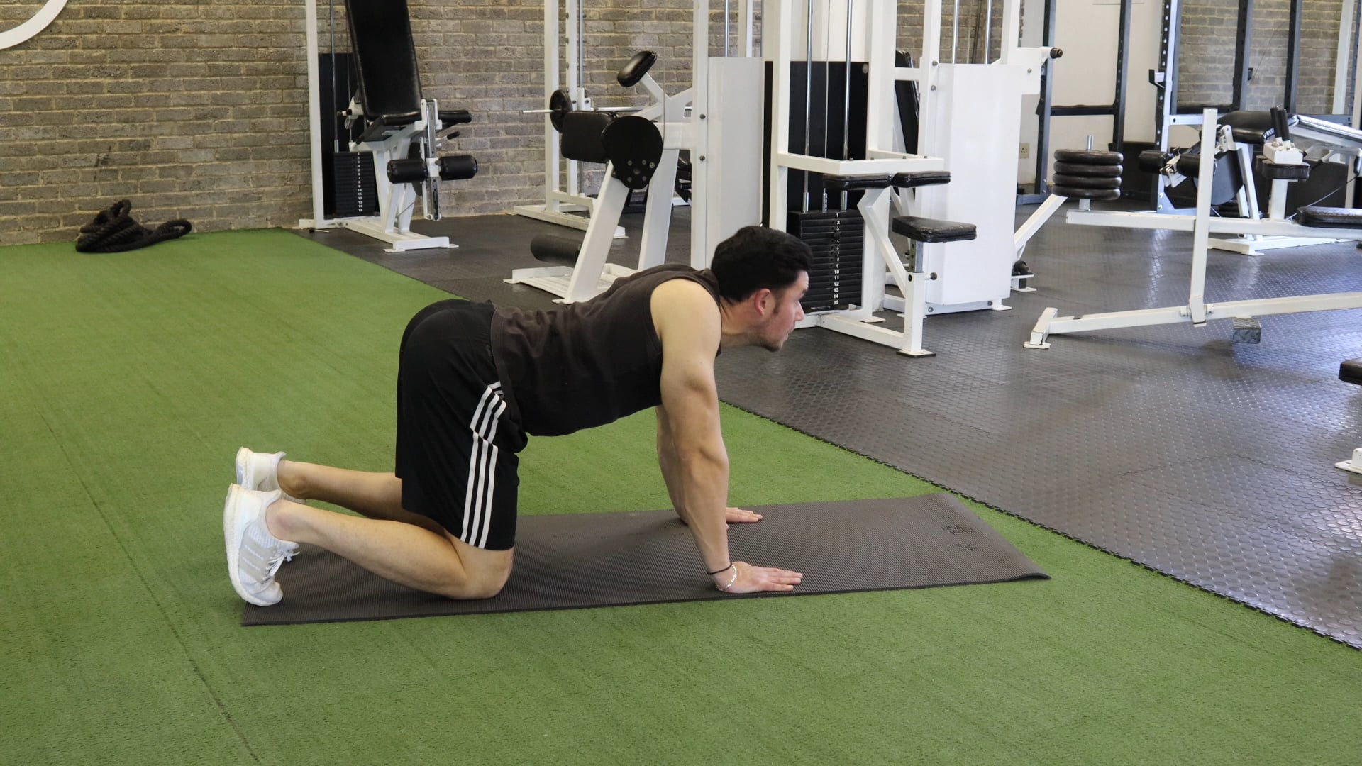 Cat - Camel Stretch on Vimeo