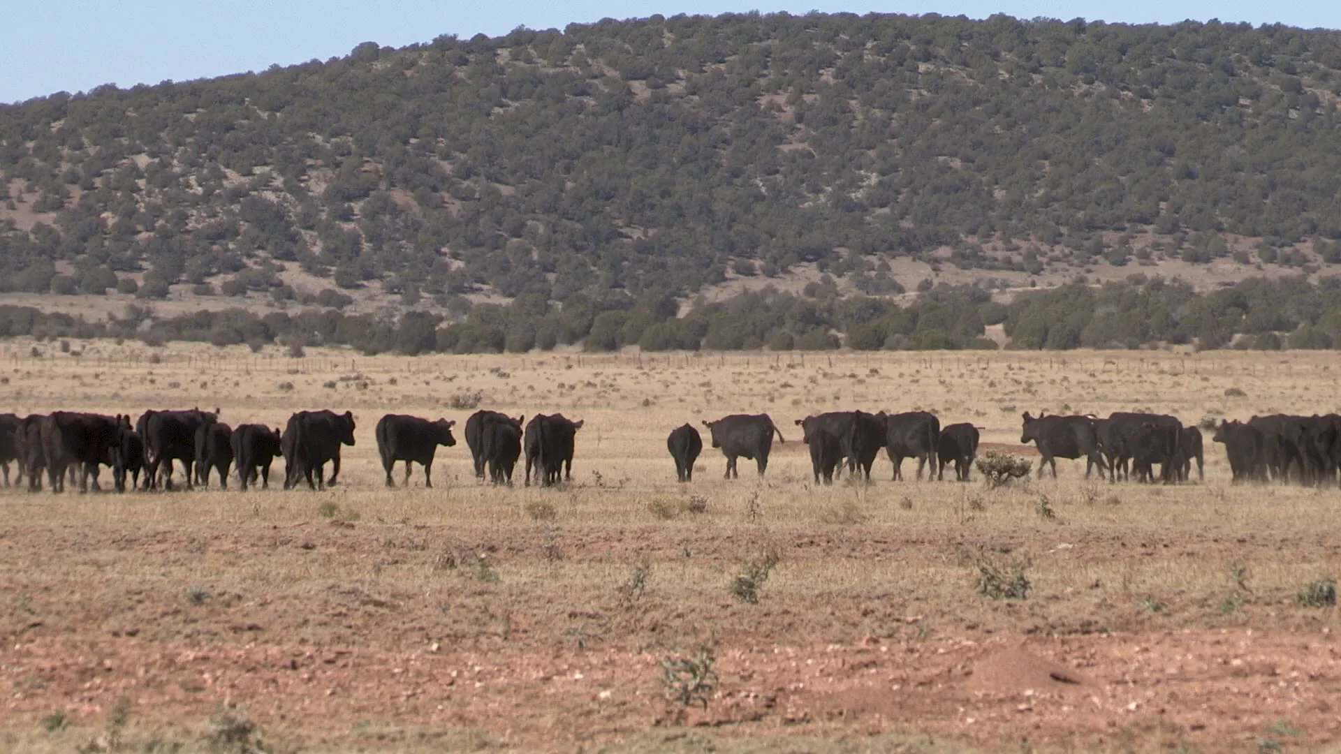 Hunter Access on the X-One Ranch