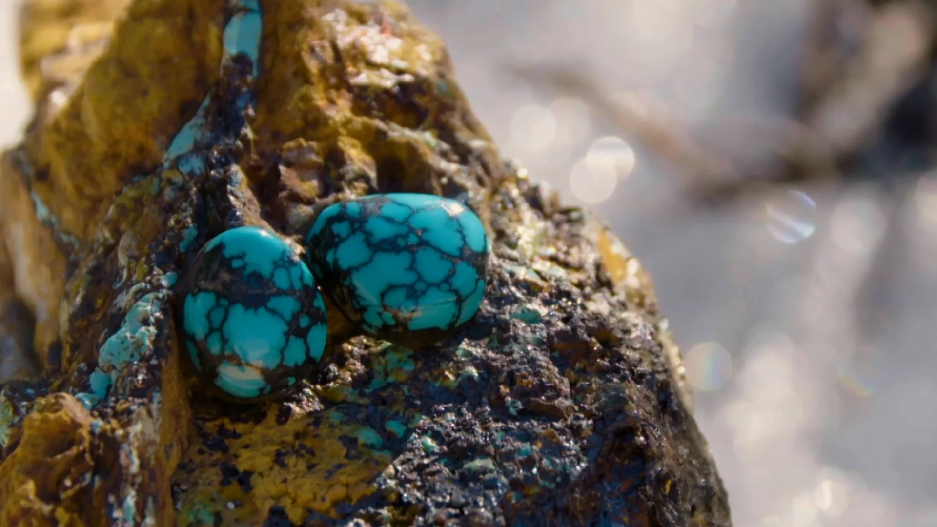 Turquoise Fever on Vimeo