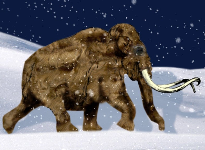 MAMMOTH_ANIMATION on Vimeo