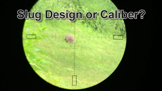 Slug Design or Caliber Field Testing-Under Federal Depredation Permit ...