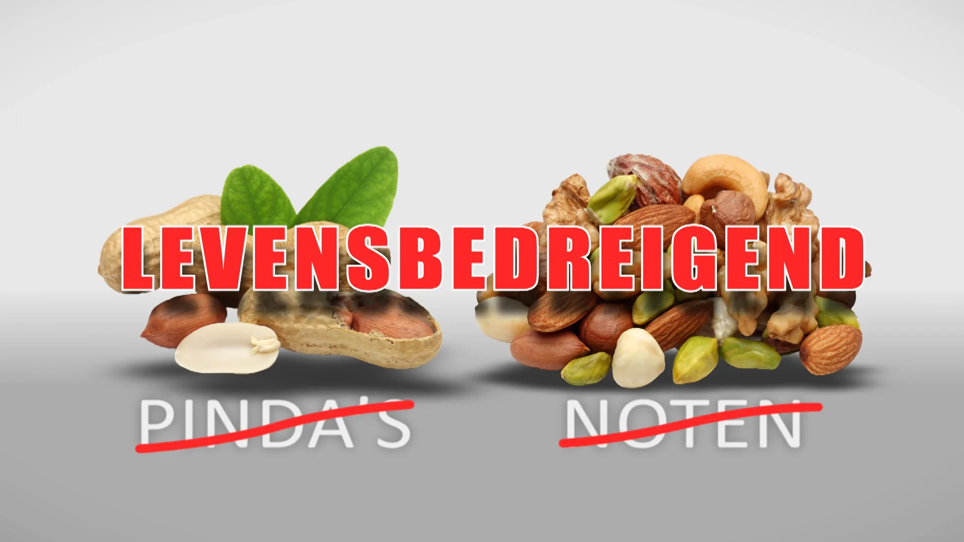 INFORMATIE FILM: Pinda en Noten allergie Valesca