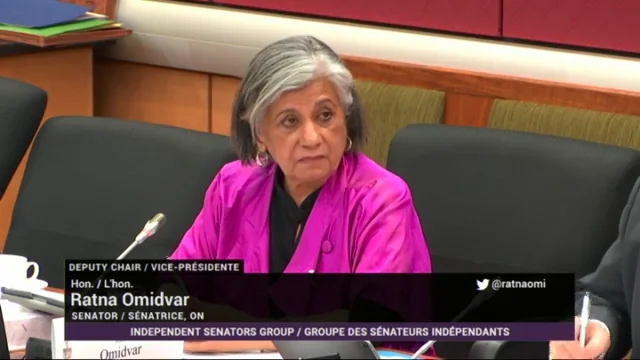 Using The Narrative: Juniper Locilento answering questions at the ...