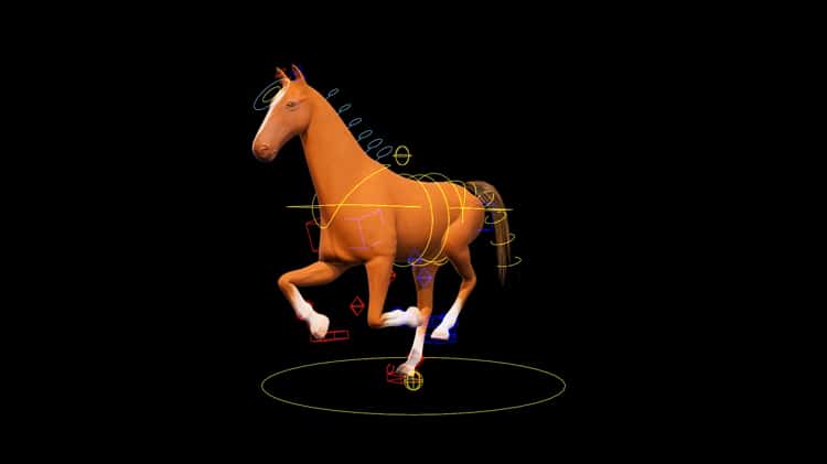 Horse Canter Cycle