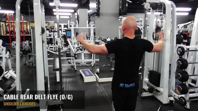 Cable Rear Delt Flyes