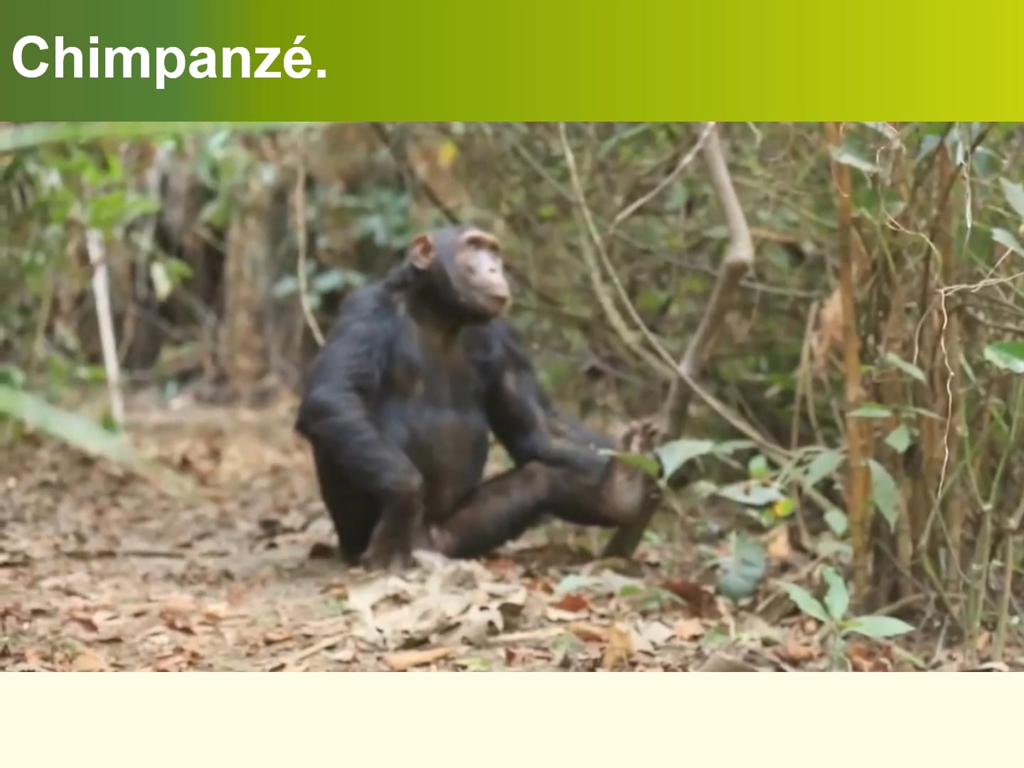 Preventative Health - Unwin et. al FR on Vimeo