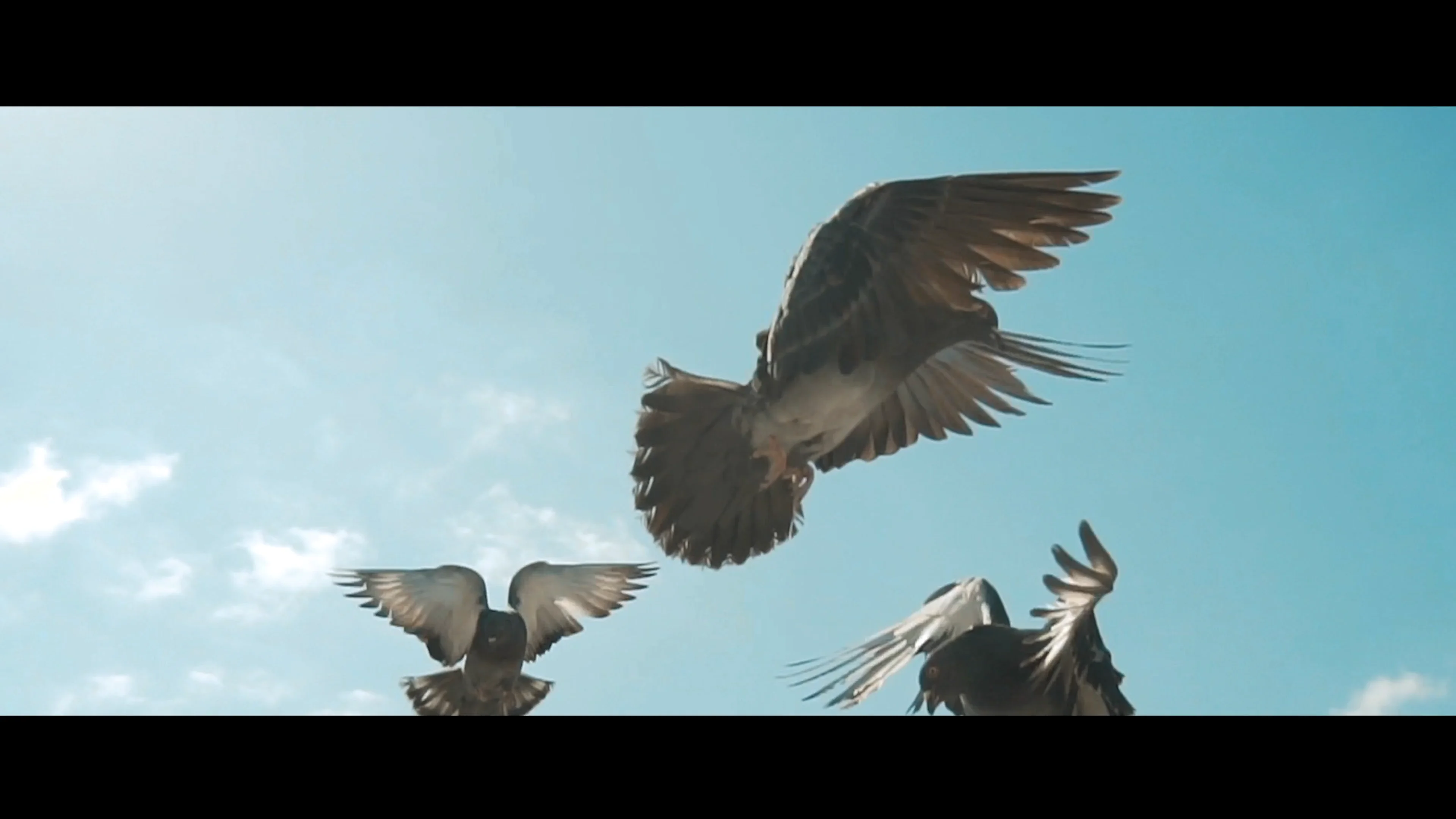 Its Going Down Trailer on Vimeo