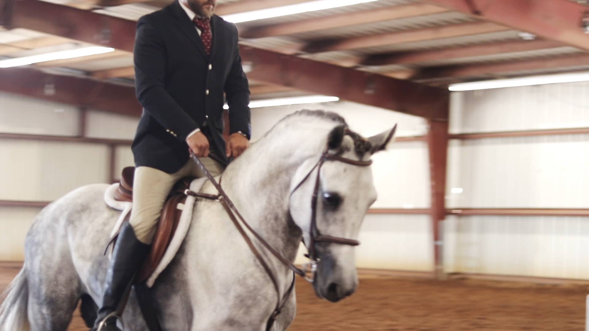 Inquieto RAM: Warlander stallion on Vimeo