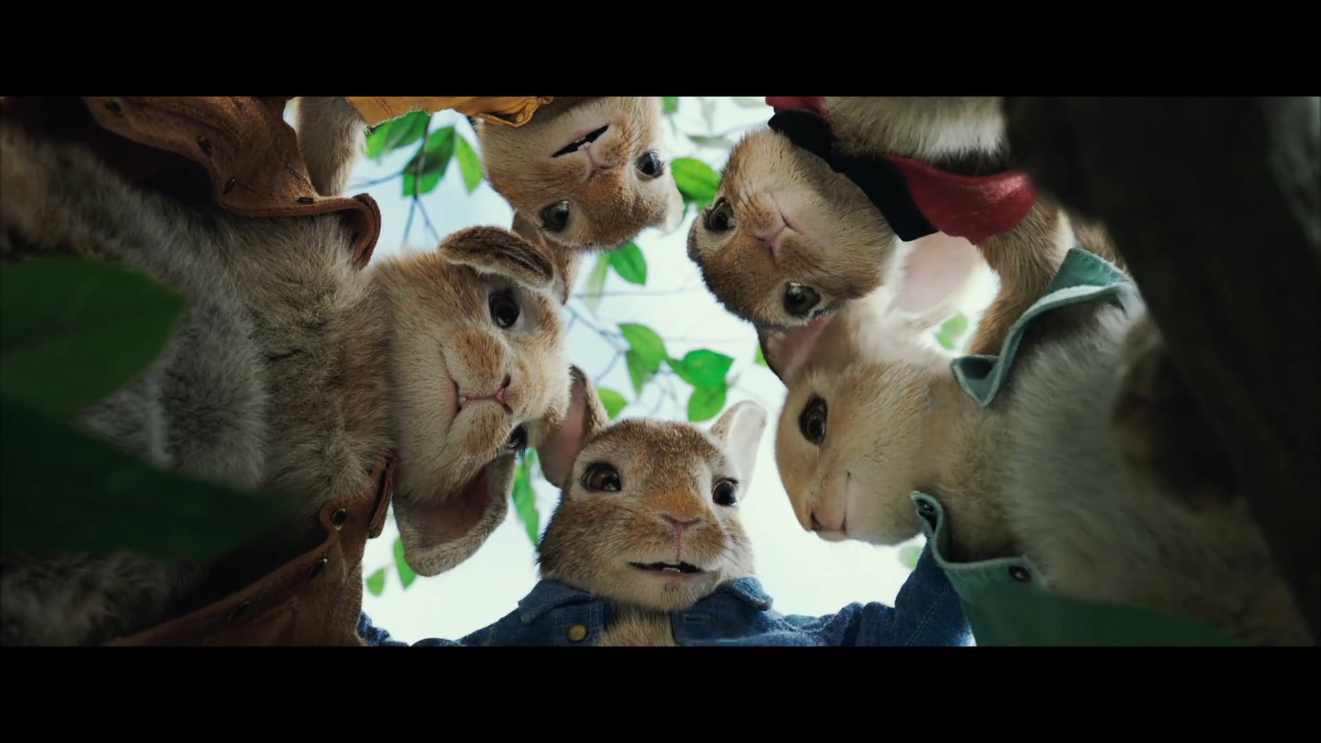 10.Peter Rabbit | Friday Kids | TV15 on Vimeo