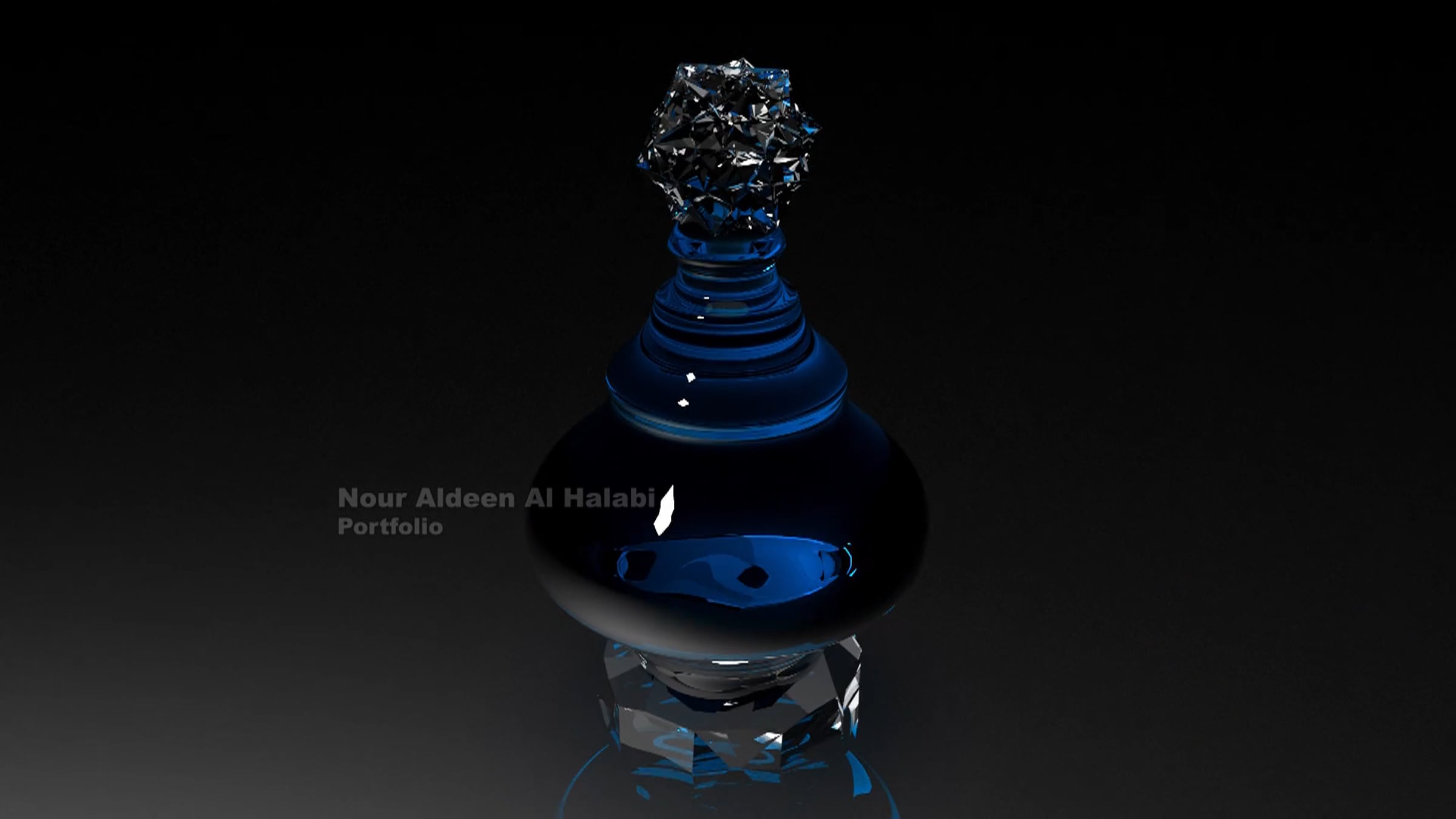 Nour Aldeen Al Halabi, Portfolio
