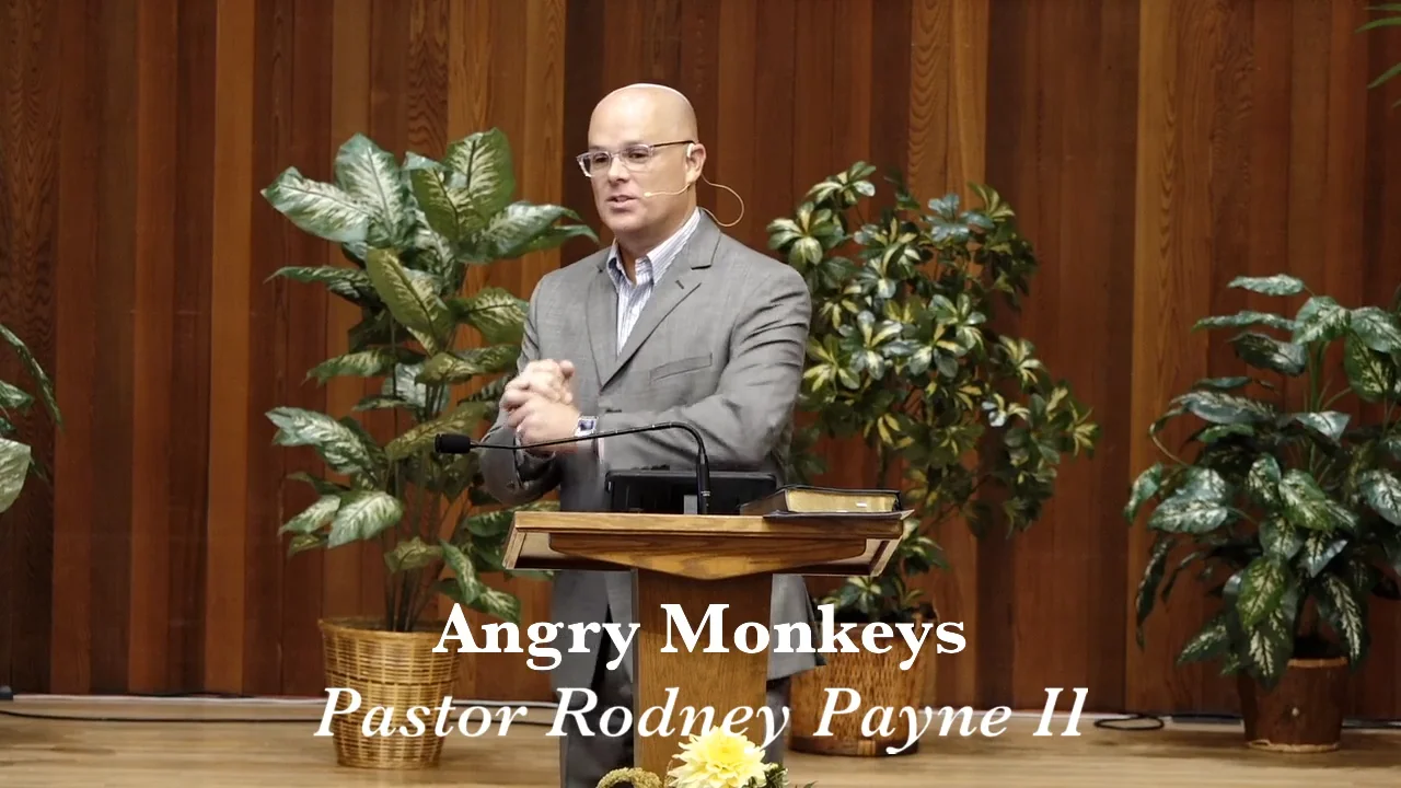8/24/19 - ANGRY MONKEYS - Pastor Rodney on Vimeo