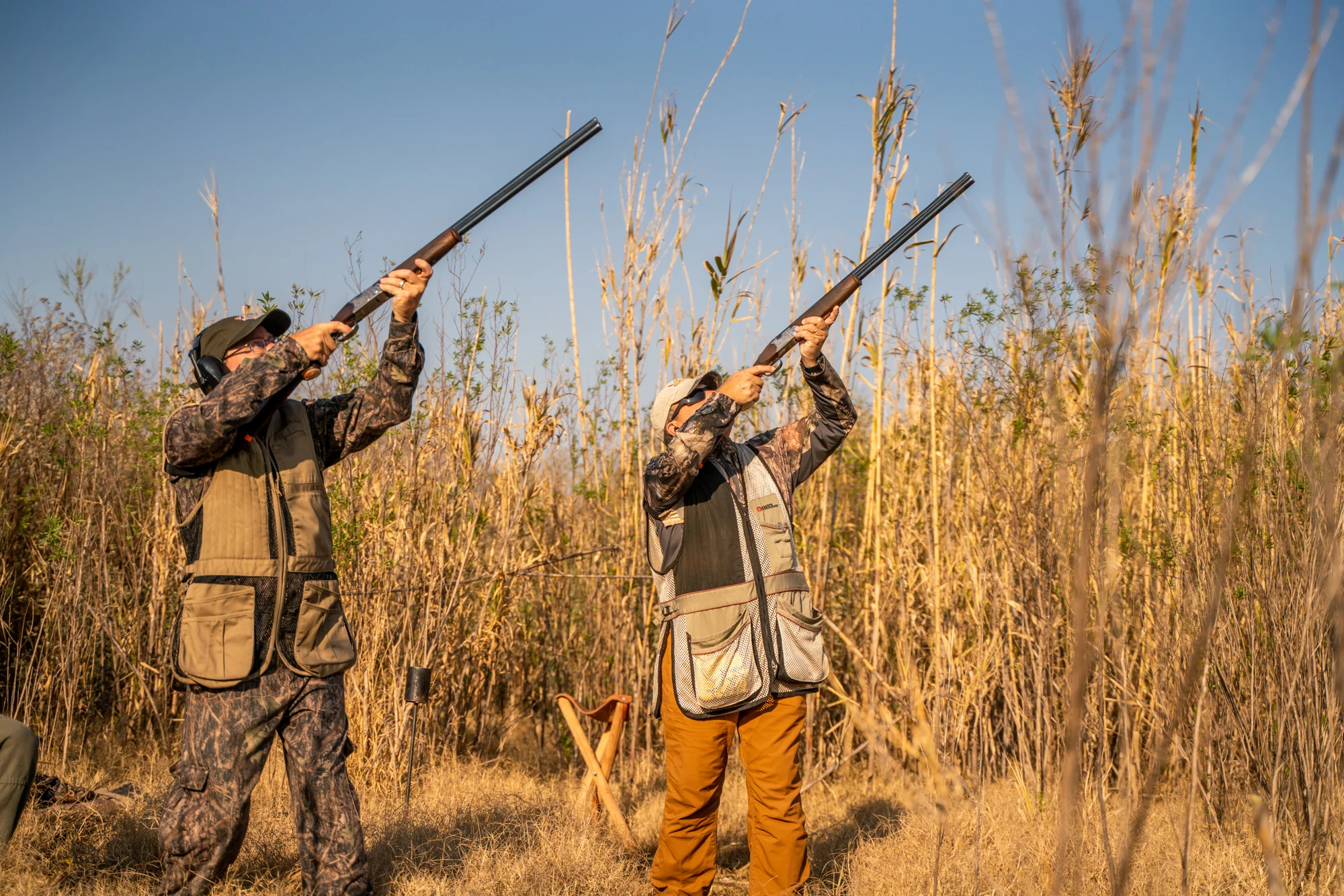 Incredible Hunting Experience with Pointer! on Vimeo