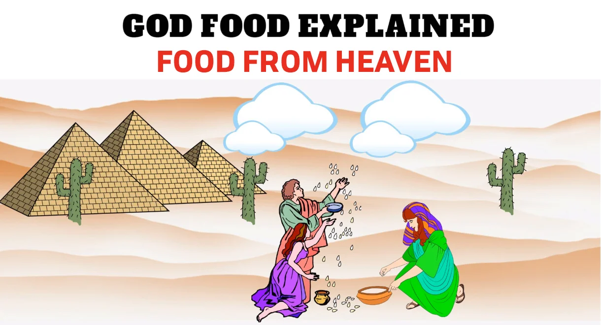 God Food Explained: Food From Heaven on Vimeo