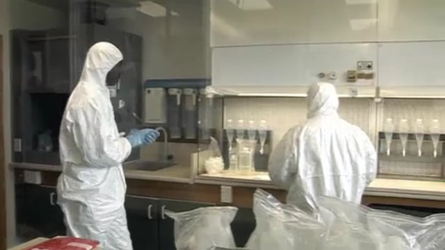 Clean labs — Science Learning Hub