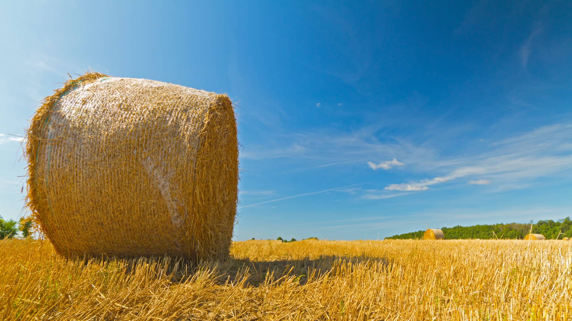 Hay Bale on Vimeo