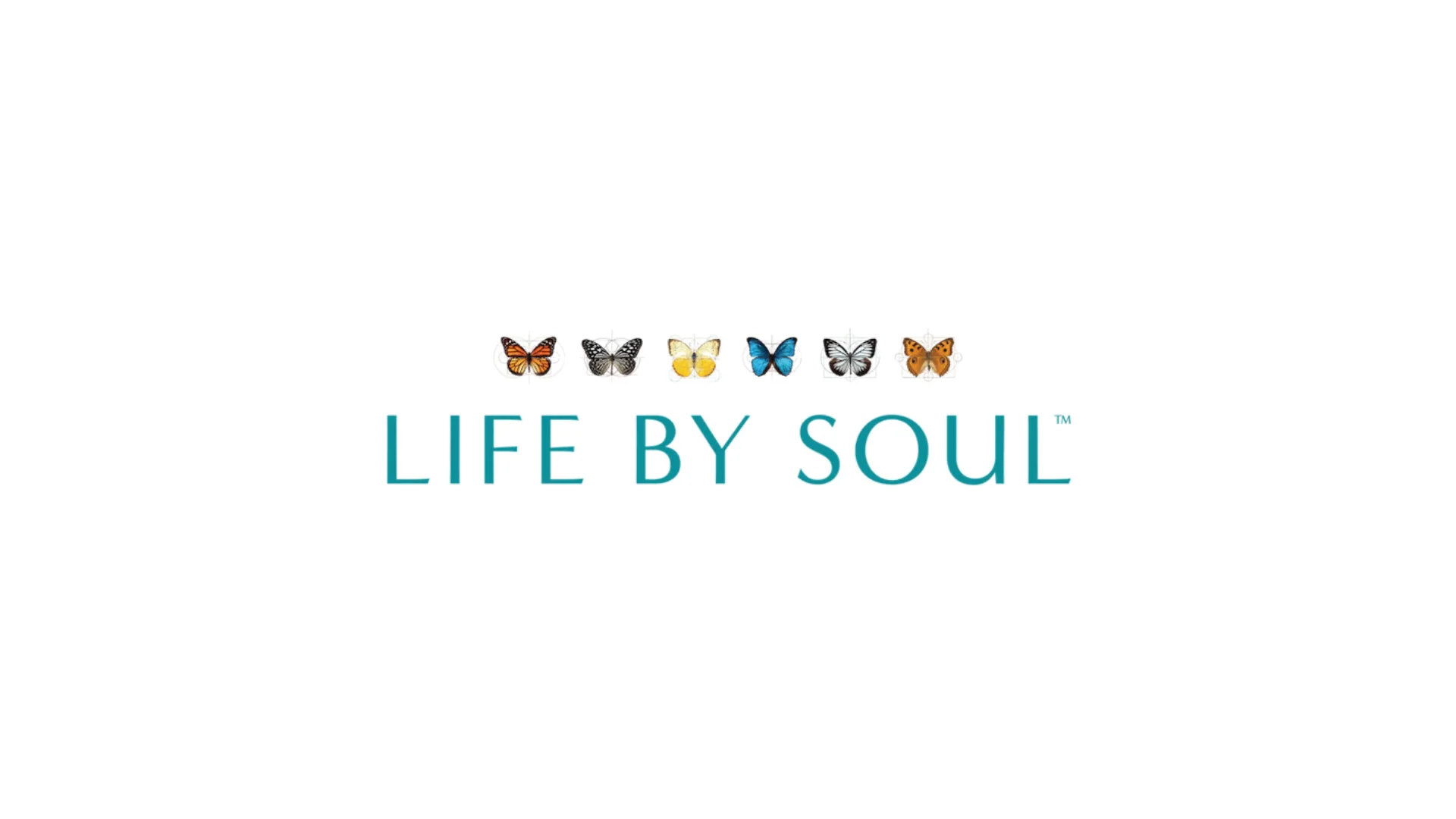 Life By Soul™ - Grace Cloyd: Hello (The First Video!) on Vimeo