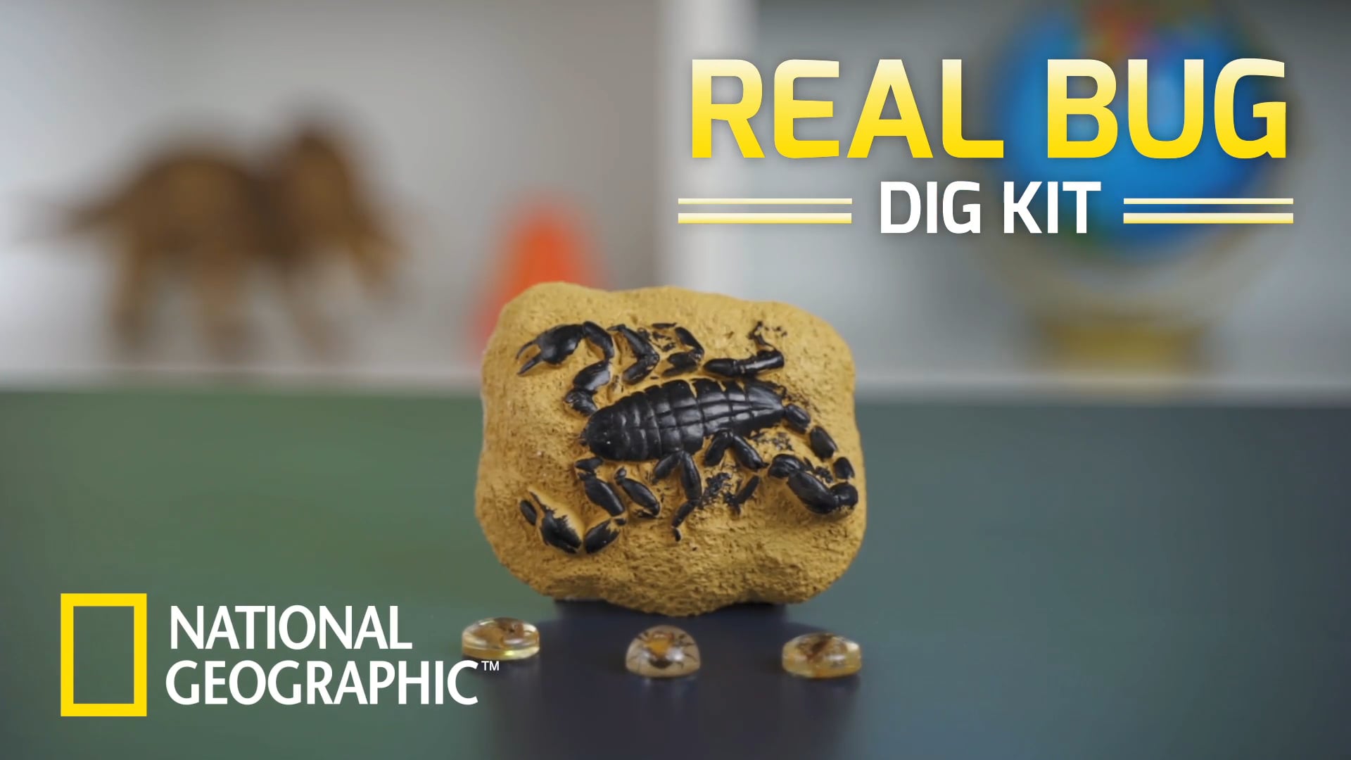 National Geographic - Real Bug Dig Kit on Vimeo