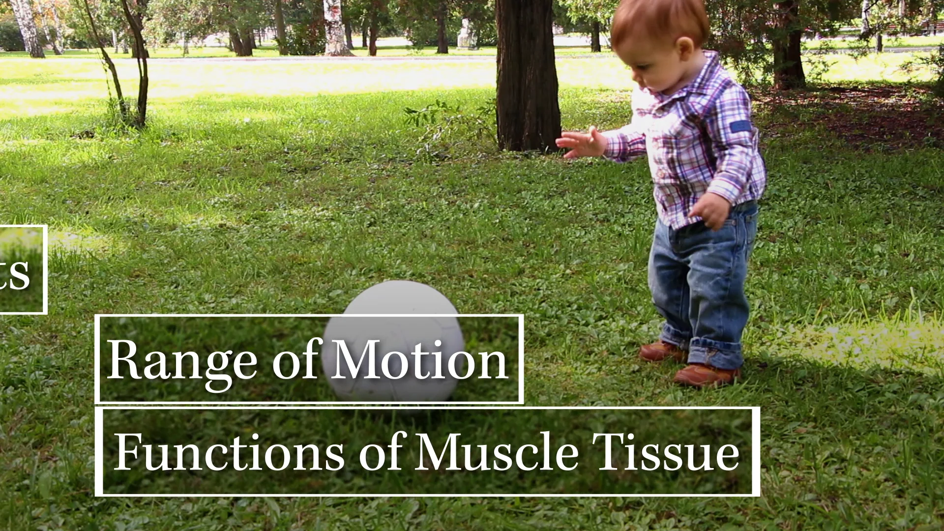 Watch Trail Guide to Movement 2nd Edition Video Series Online | Vimeo ...