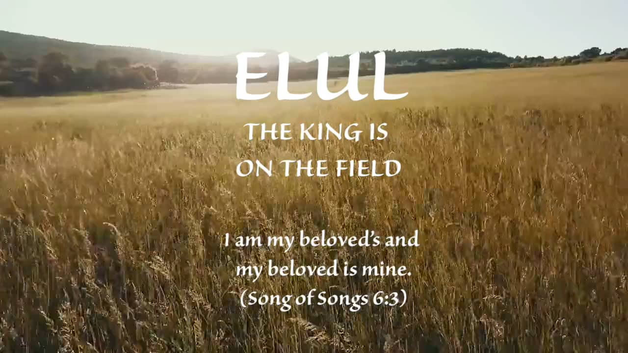 Elul - The King is on the field on Vimeo
