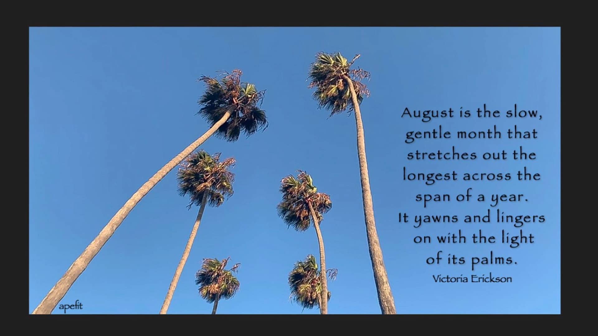 August is the slow, gentle month that stretches out the longest ...