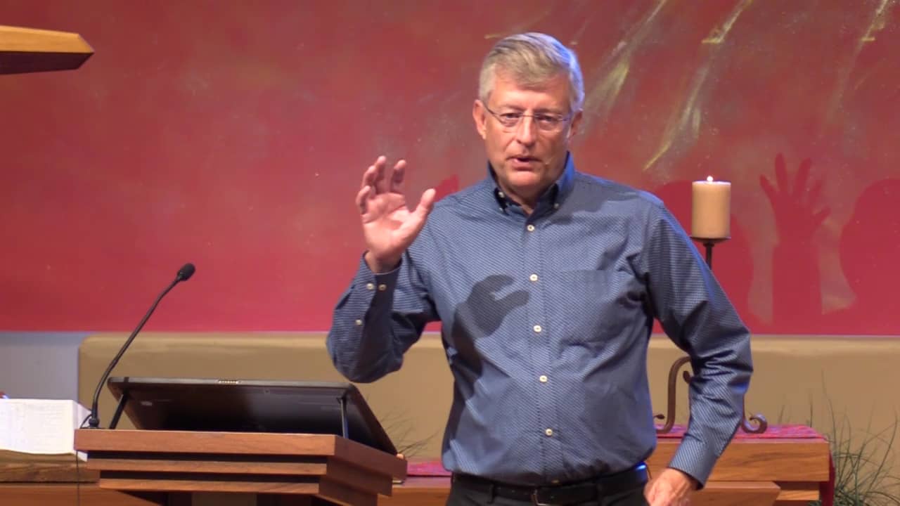 8/25/2019 - Gospel of Dogs: A Dogs Love - Rev. Fred Steinberg on Vimeo