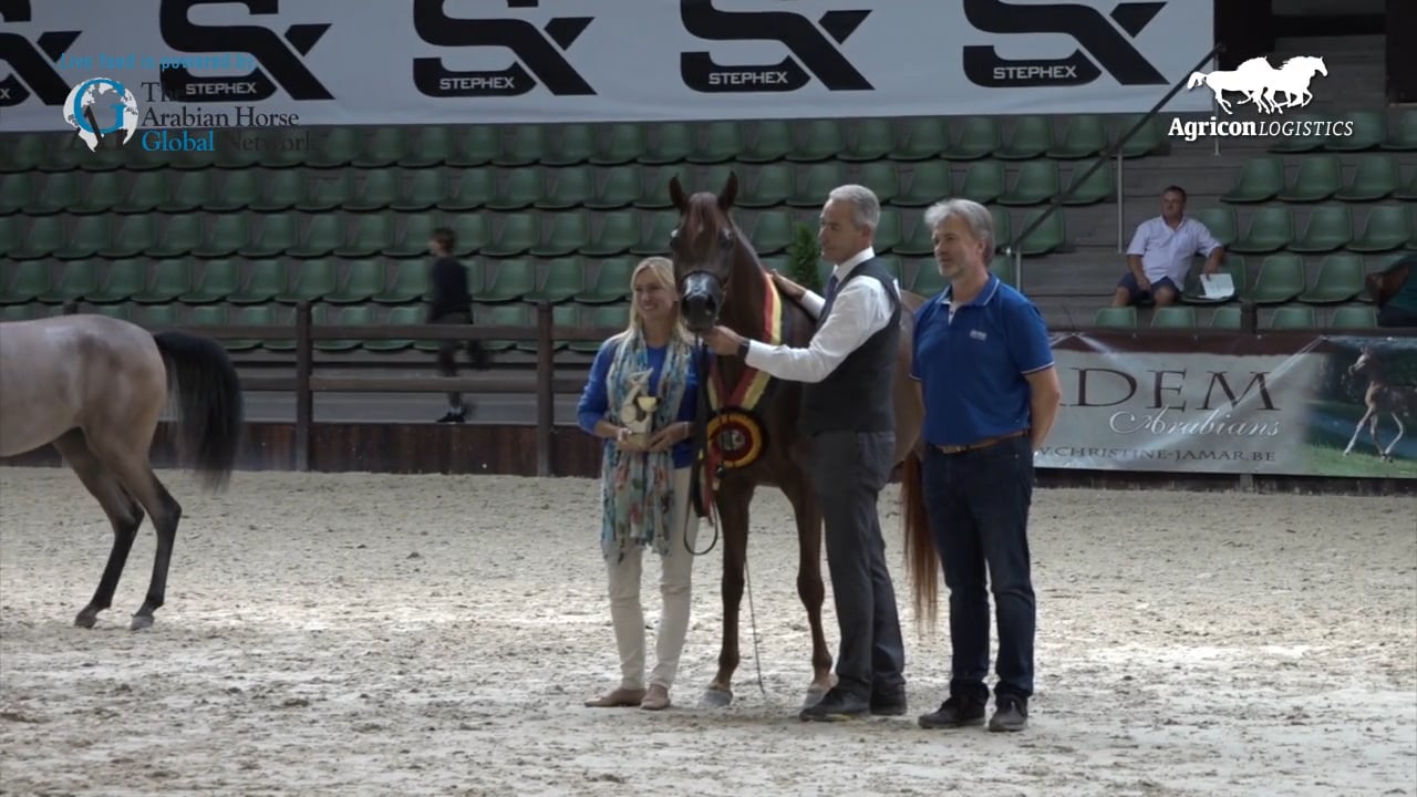 30 - Champ.: Junior Fillies - Belgian Nationals 2019 on Vimeo