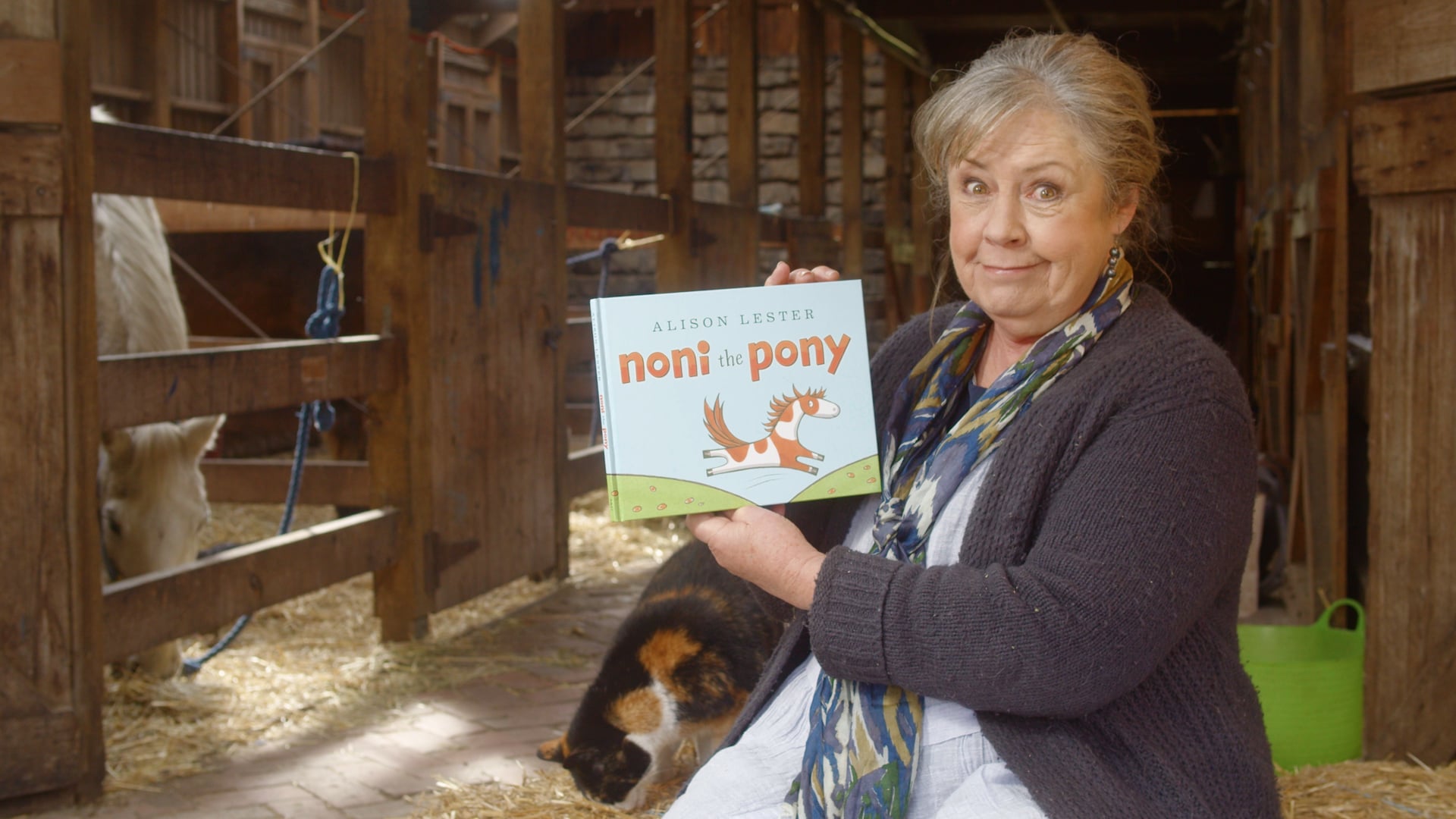 Noni the Pony - Teaser on Vimeo