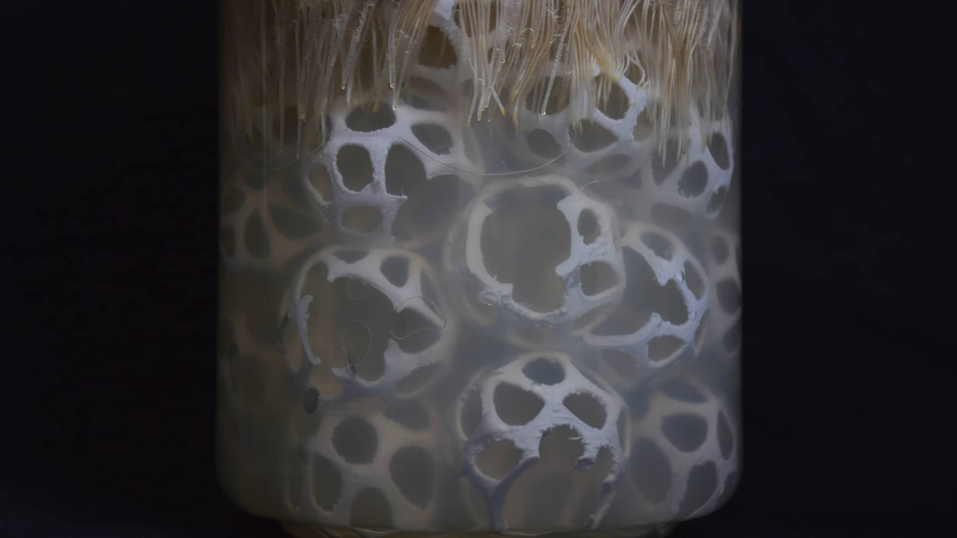 Interwoven - Sewing Threads Principle on Vimeo