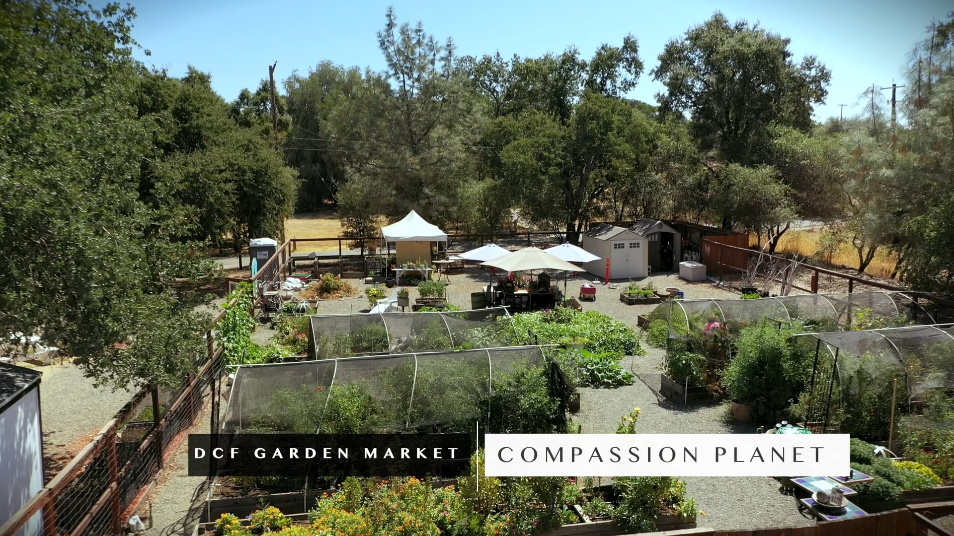 About Us | Compassion Planet