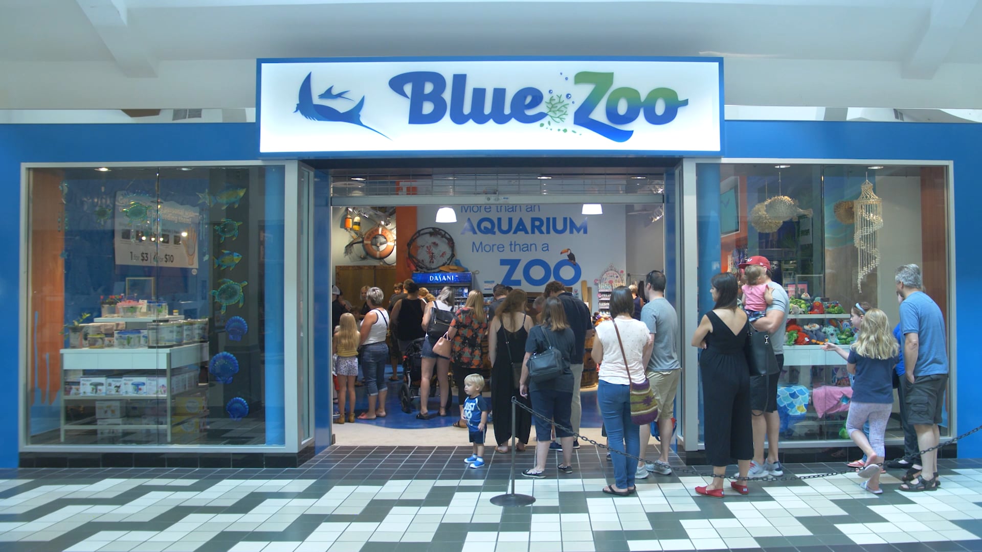VIDEOS - Blue Zoo Tour 60 on Vimeo