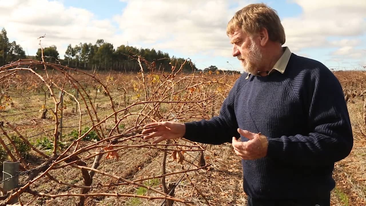 Malcolm Parish - Wakefield Valley - Cabernet Story on Vimeo