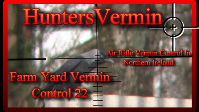 Air Rifle Hunting, Farm Yard Vermin Control 22 - Airgun101