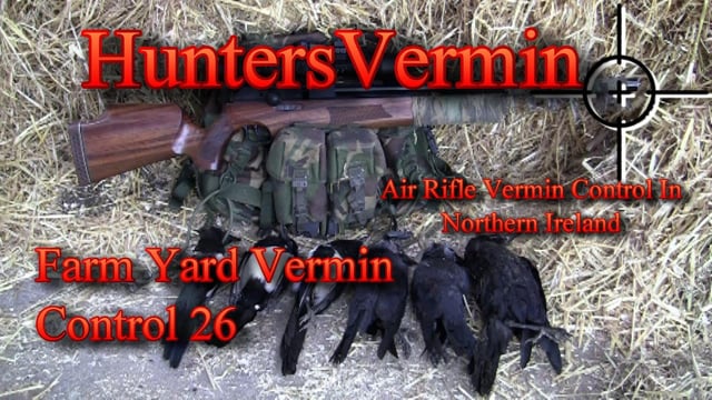 Air Rifle Hunting, Farm Yard Vermin Control 26 - Airgun101