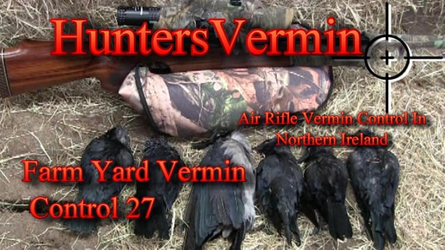 Air Rifle Hunting, Farm Yard Vermin Control 27 - Airgun101