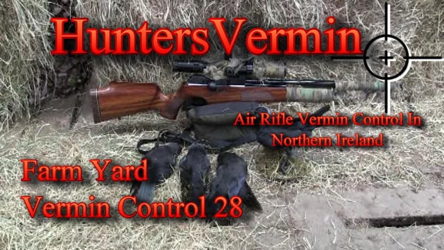 Air Rifle Hunting, Farm Yard Vermin Control 28 - Airgun101