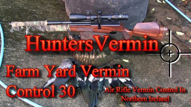 Air Rifle Hunting, Farm Yard vermin Control 30 - Airgun101