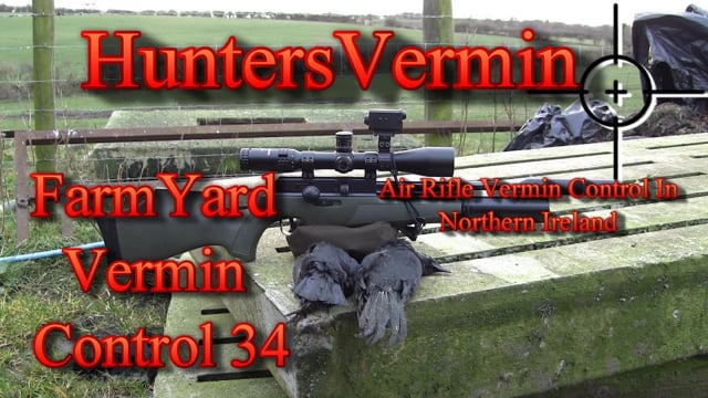 Air Rifle Hunting, Farm Yard Vermin Control 34 - Airgun101