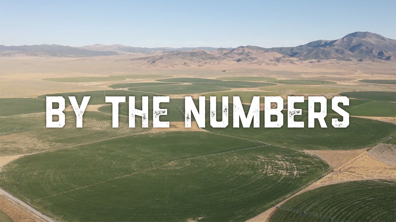 By the Numbers on Vimeo