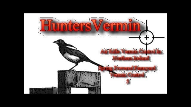 Air Rifle Hunting, Spring Powered Farm Yard Vermin Control 5 - Airgun101