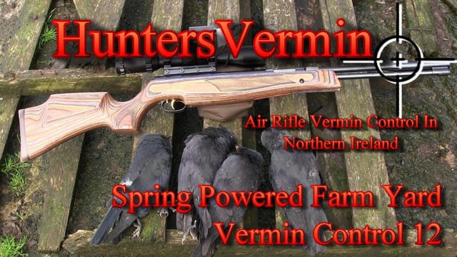 Air Rifle Hunting, Spring Powered Farm Yard Vermin Control 9 - Airgun101