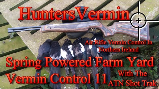 Air Rifle Hunting, Spring Powered Farm Yard Vermin Control 11 - Airgun101