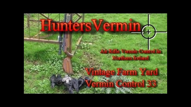 Air Rifle Hunting, Vintage Farm Yard Vermin Control 33 - Airgun101