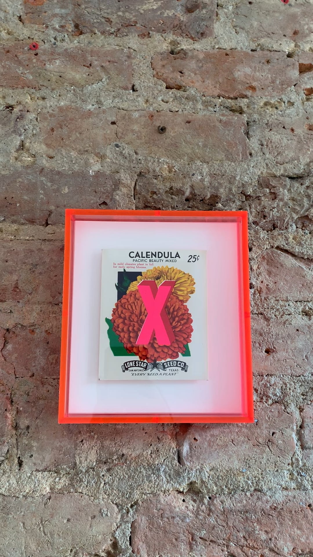 DaveBuonaguidi_X_Perspex on Vimeo