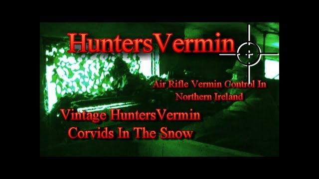 Air Rifle Hunting, Vintage HuntersVermin Corvids In The Snow - Airgun101